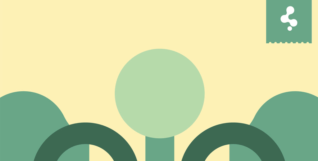 Brandix | 5 Game-Changing Principles That Propelled Brandix to ESG Success